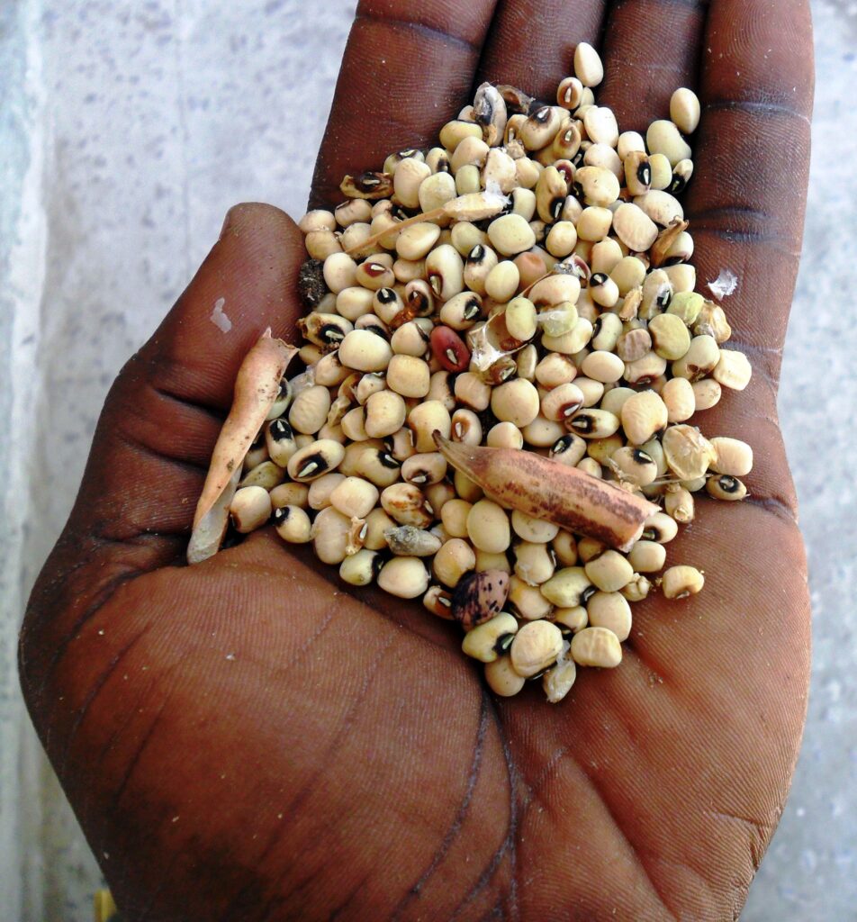 Global Sustainable Development Goals – Espoir Congo